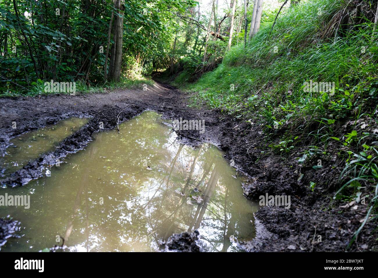 Puddle Of Rainwater High Resolution Stock Photography and Images - Alamy