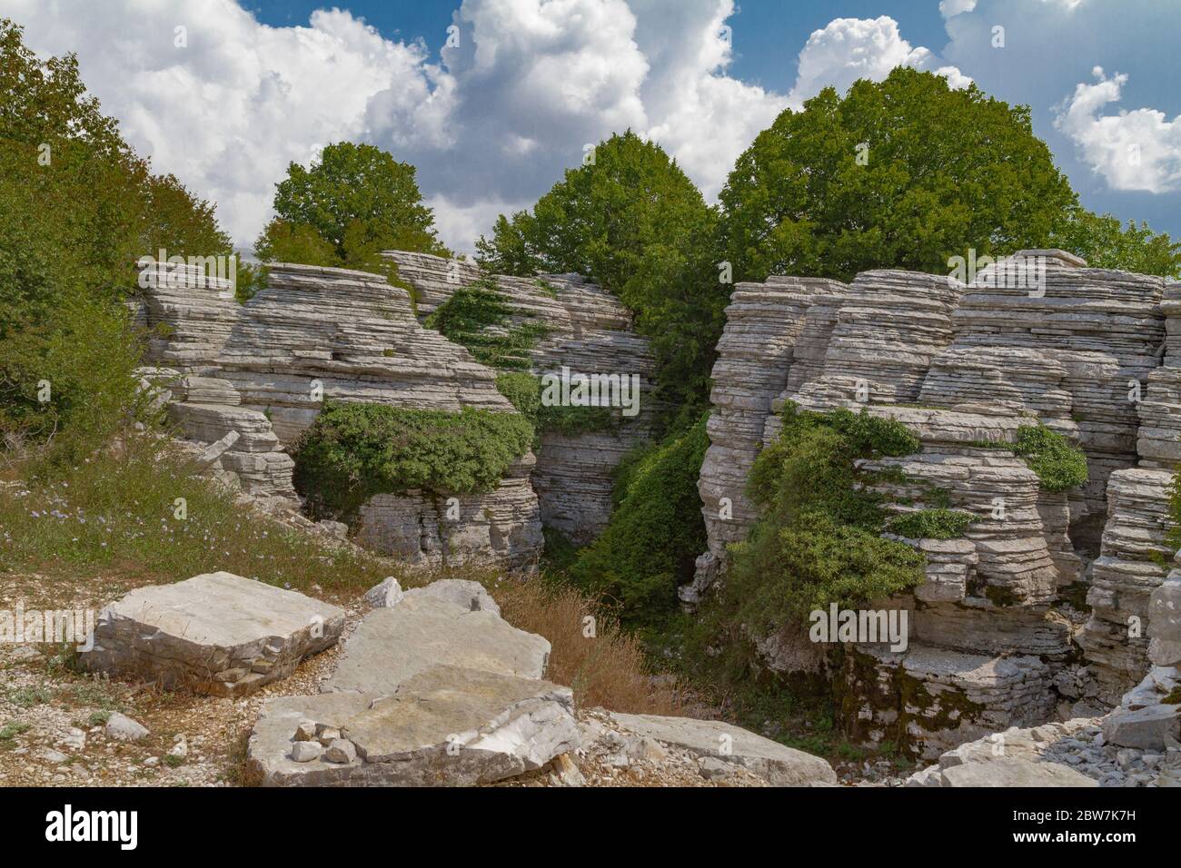 Greece forest hi-res stock photography and images - Alamy