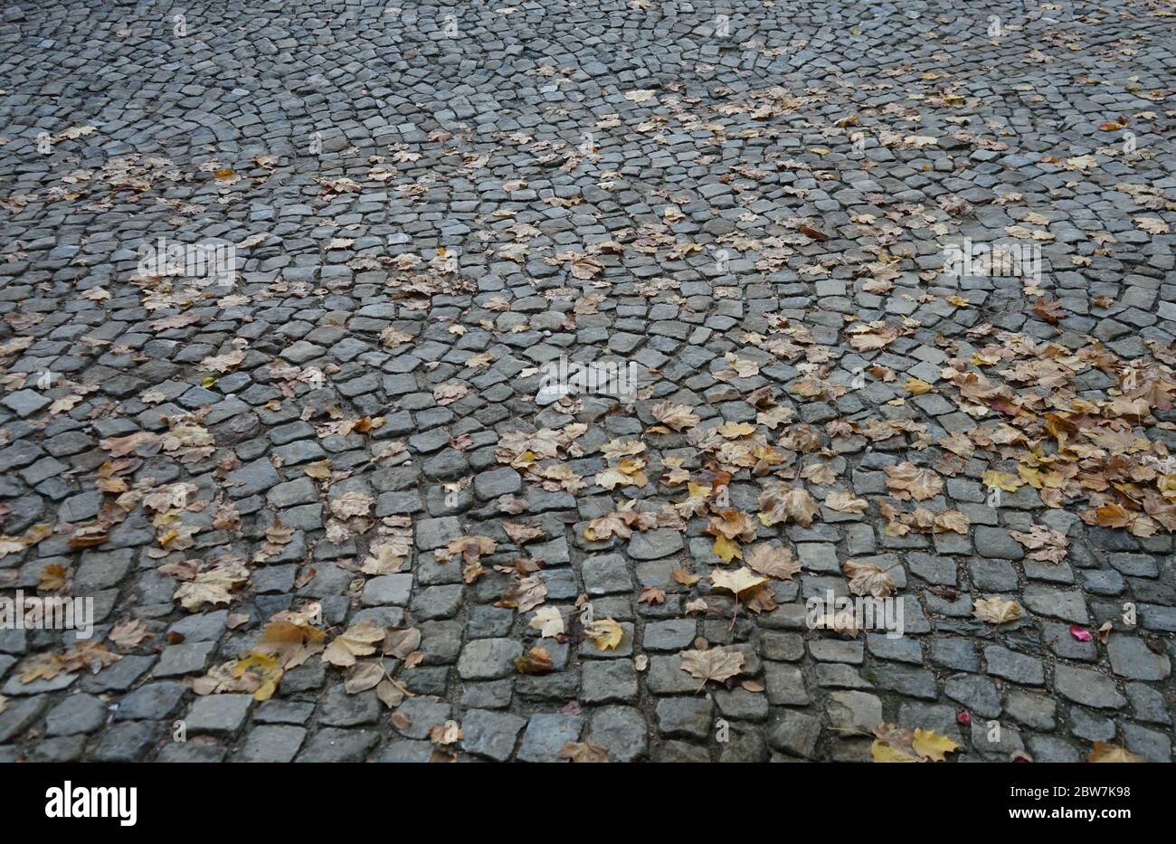 Paved city with porphyry cubes Stock Photo - Alamy