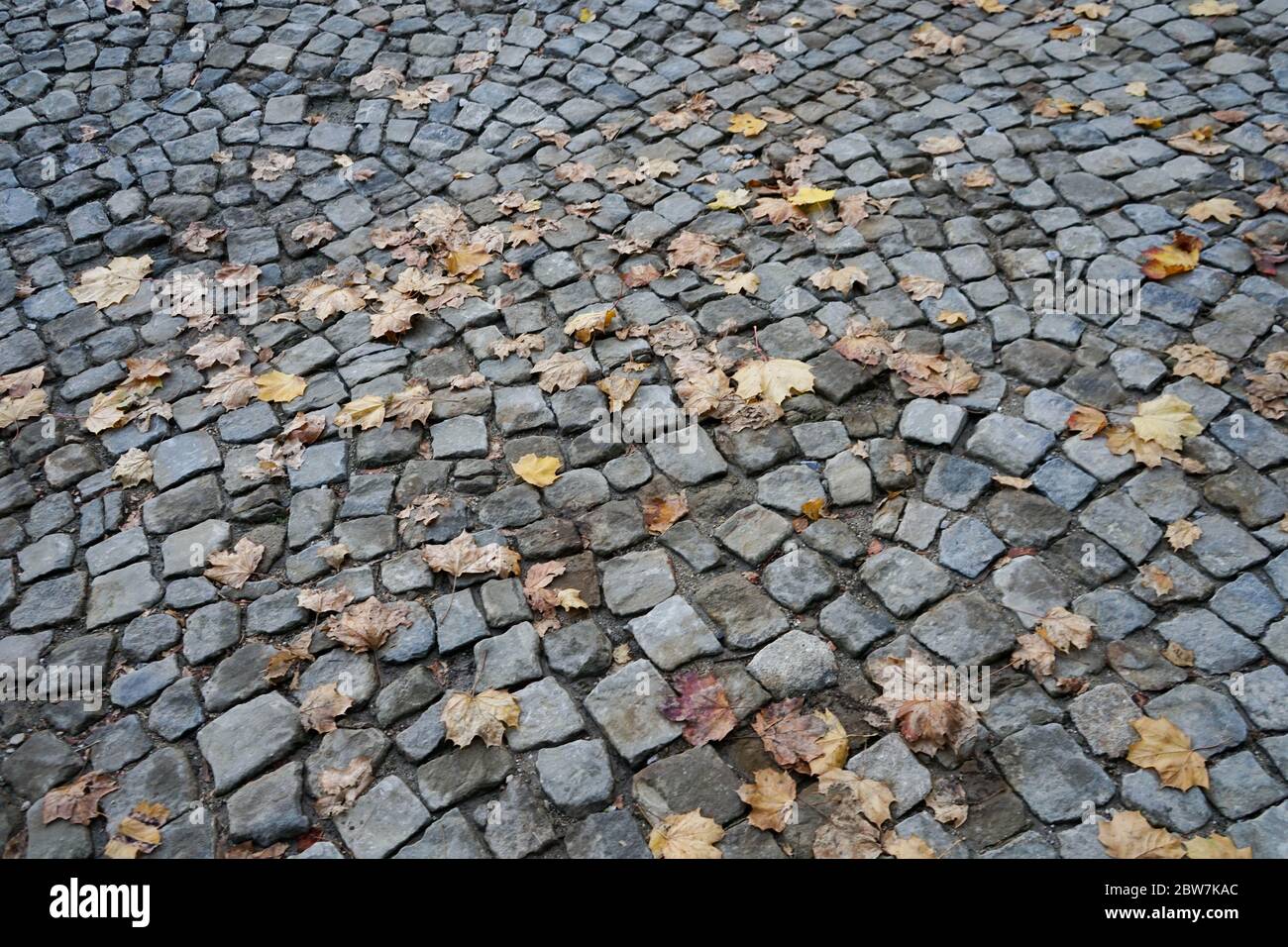 Porphyry pavement hi-res stock photography and images - Alamy