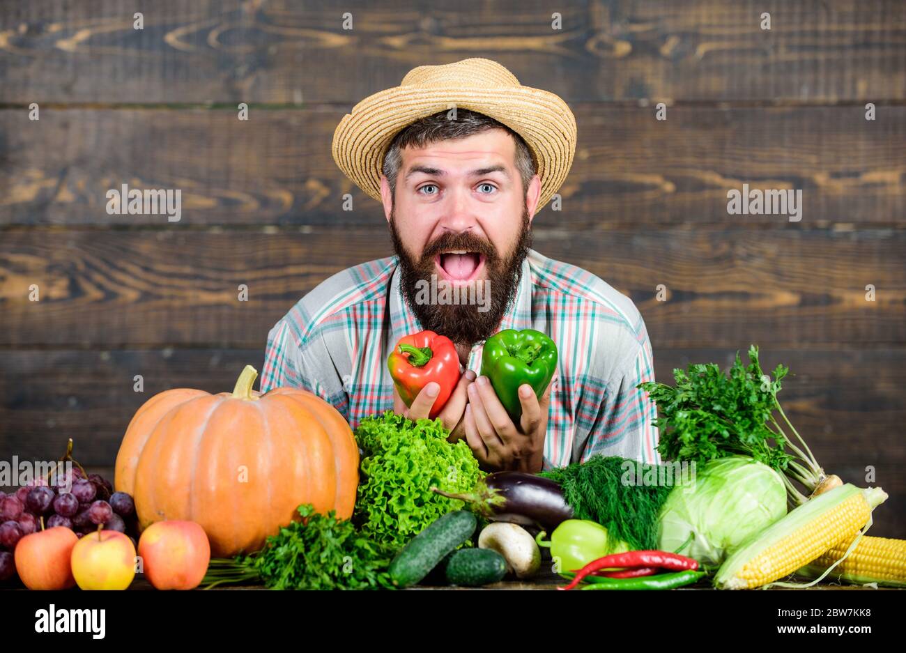 Farm market harvest festival. Man mature bearded farmer hold vegetables ...