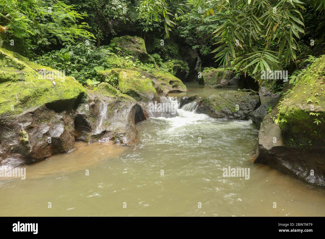Beautiful texture of stone riverbed polished by mountain river f Stock ...