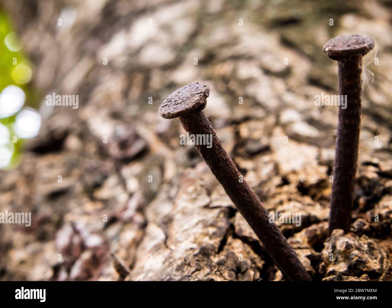 Big rusty nail hi-res stock photography and images - Alamy