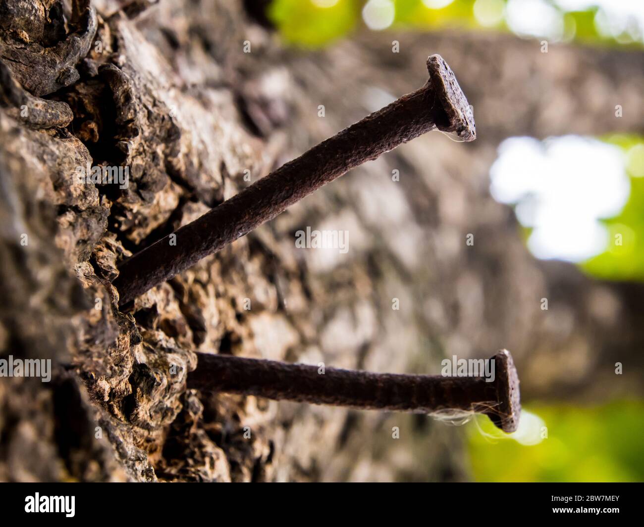 Big rusty nail hi-res stock photography and images - Alamy
