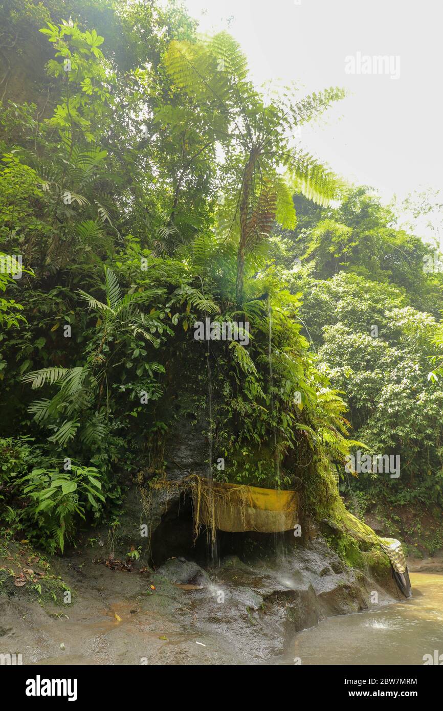 Amazon rainforest bridge wood hi-res stock photography and images - Alamy