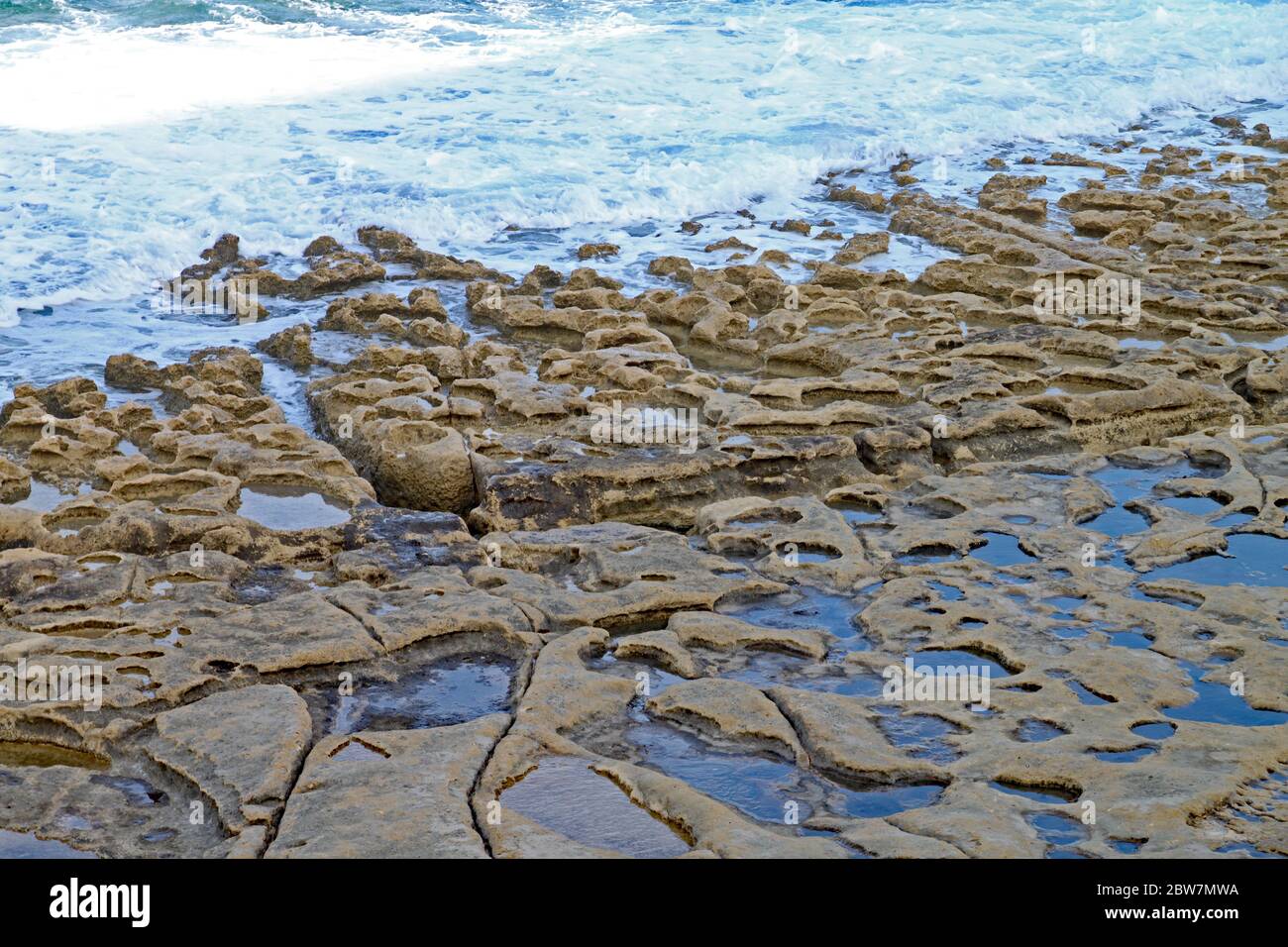 The rock pools in the sandstone shelf on the beach at Sliema, Malta ...