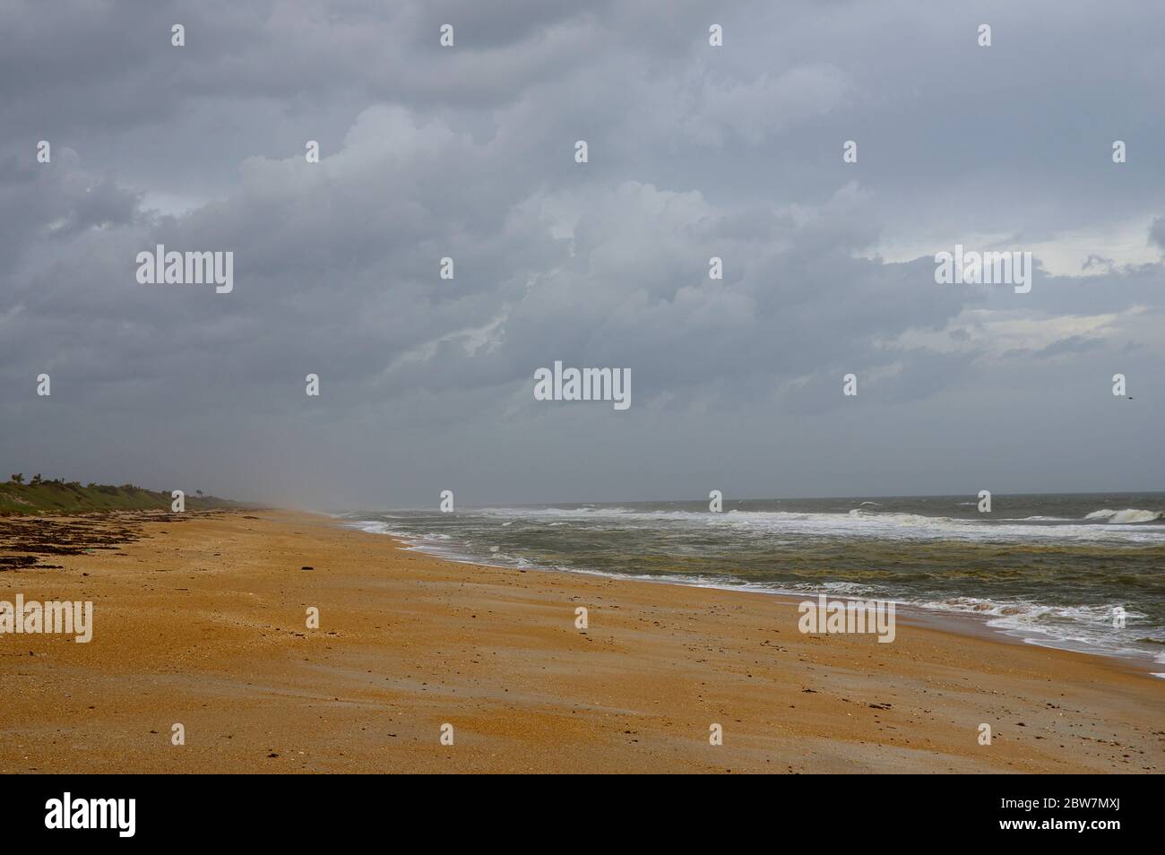 Beautiful North Beach Guana River Preserve on the east coast, Florida ...
