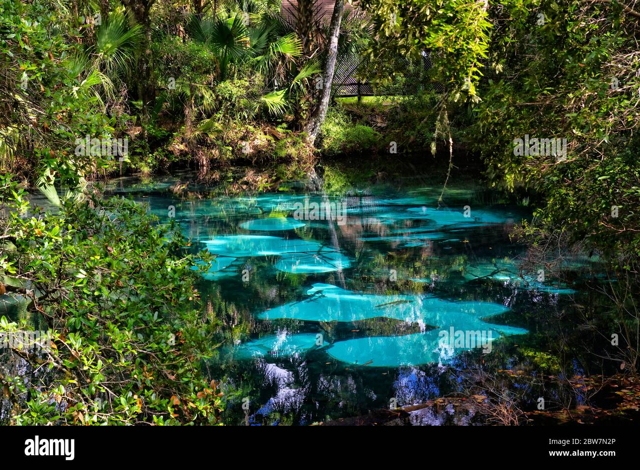 The hot blue and emerald geothermal pools set among quiet and lush ...