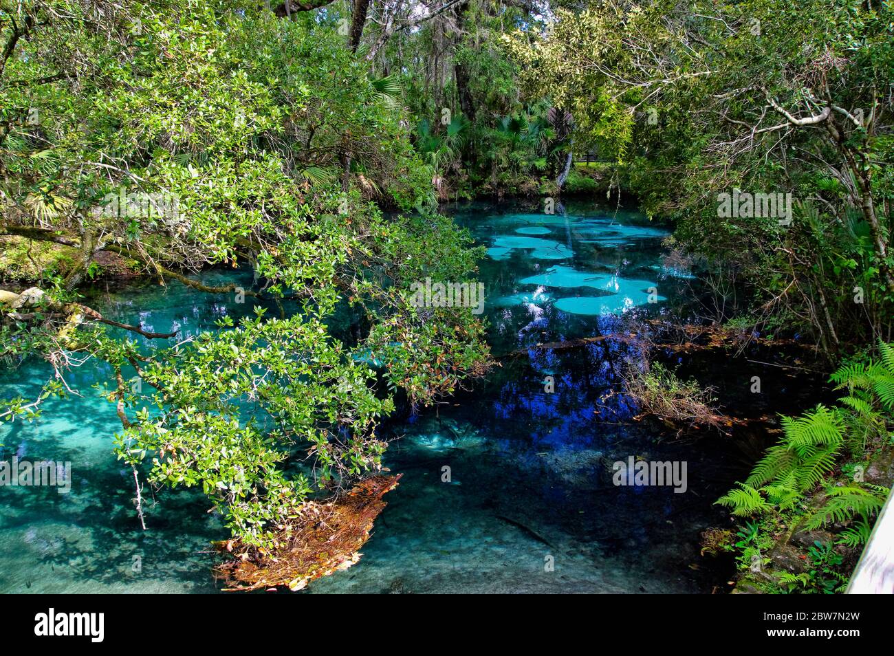 The hot blue and emerald geothermal pools set among quiet and lush ...