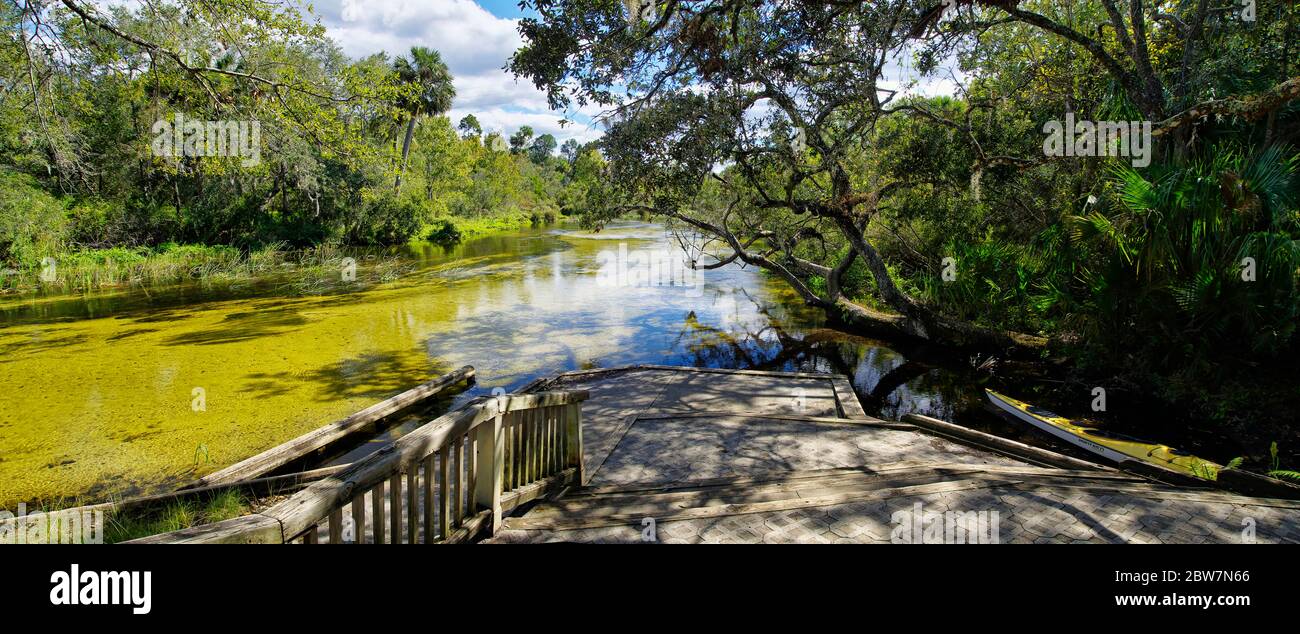 Salt Springs in Ocala National Forest are ancient subterranean springs ...