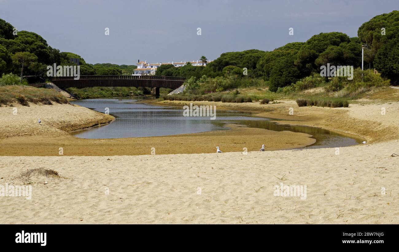 The sandy landscape of Marismas del Odiel National Park in Andalusia ...