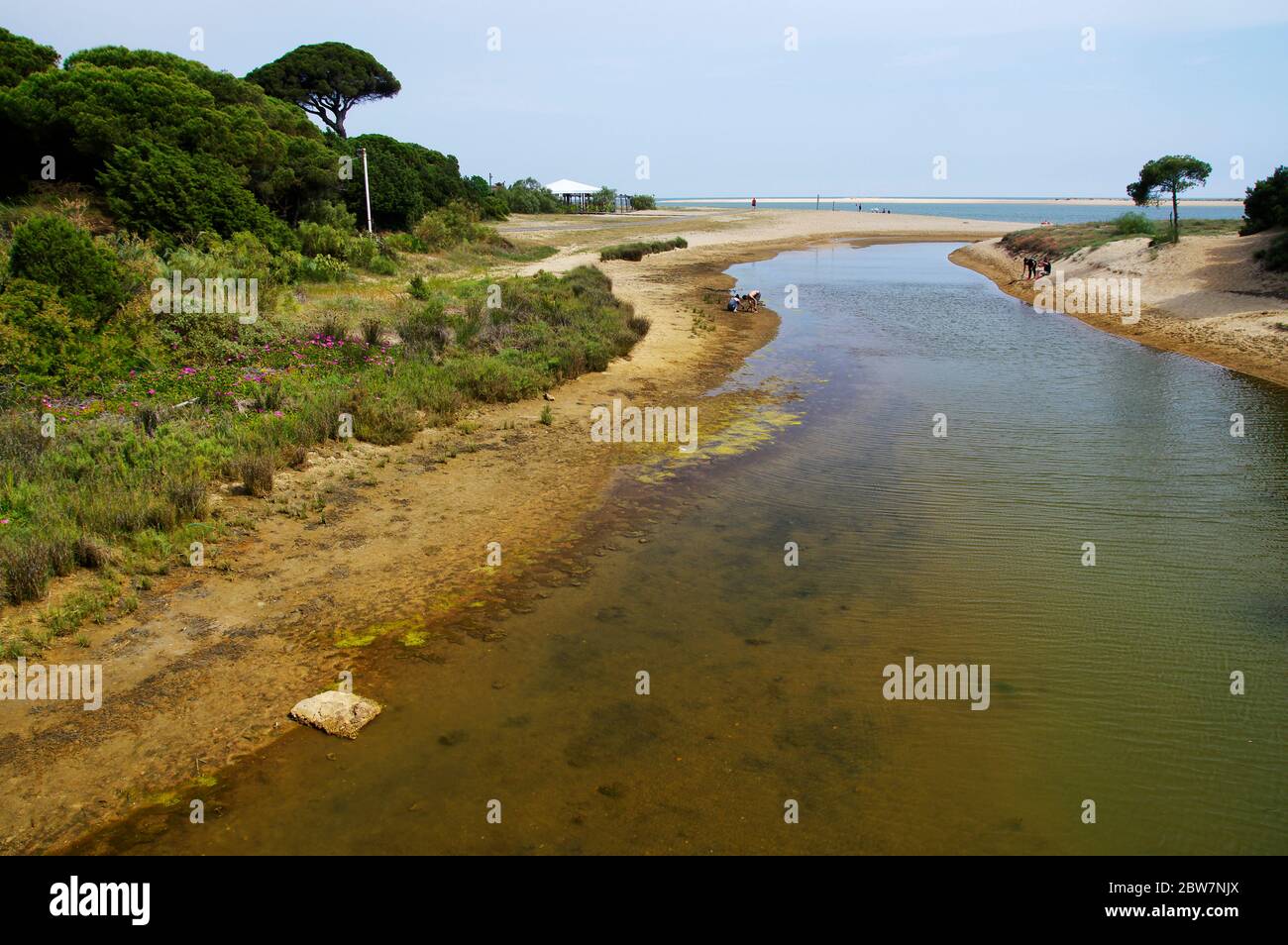 The sandy landscape of Marismas del Odiel National Park in Andalusia ...