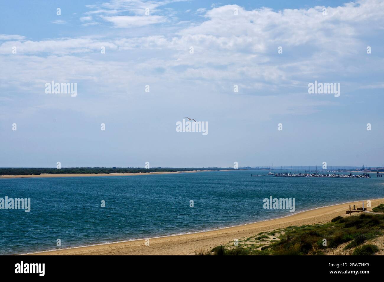 The sandy landscape of Marismas del Odiel National Park in Andalusia ...