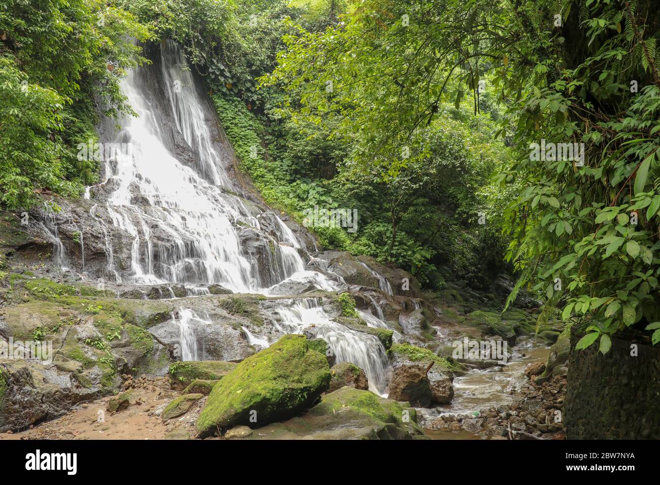 Scenic cascade Goa Giri Campuhan waterfall in tropical jungle in Stock ...