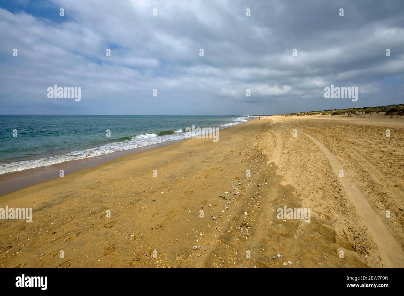 The sandy landscape of Marismas del Odiel National Park in Andalusia ...
