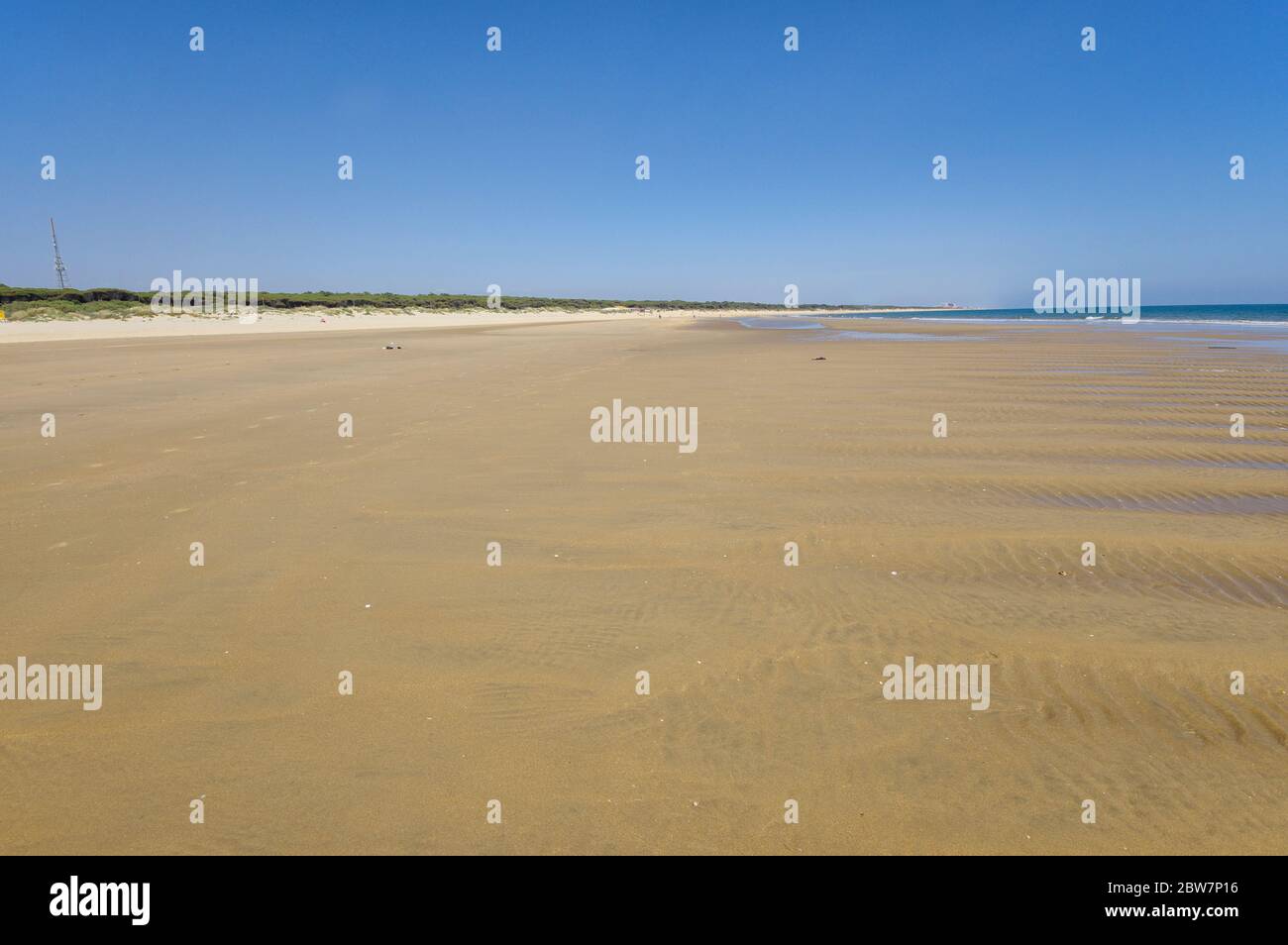 The sandy landscape of Marismas del Odiel National Park in Andalusia ...