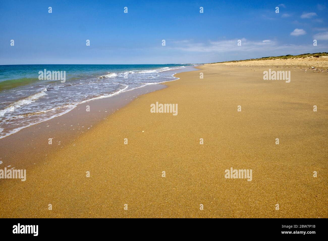 The sandy landscape of Marismas del Odiel National Park in Andalusia ...