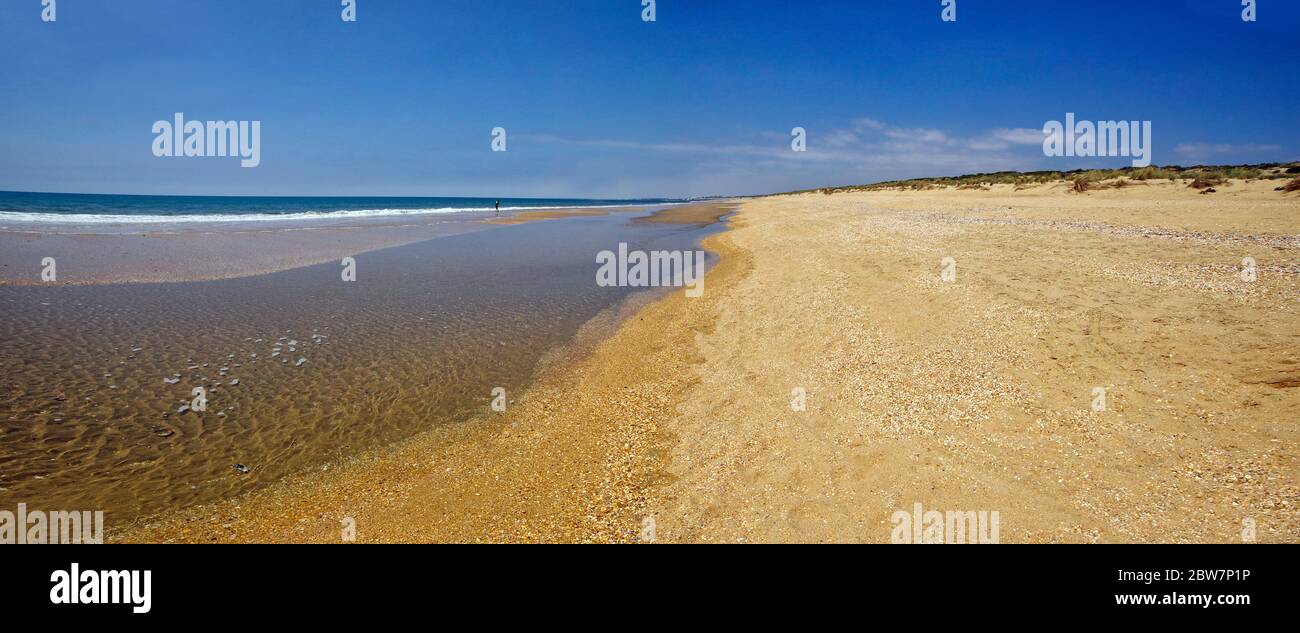 The sandy landscape of Marismas del Odiel National Park in Andalusia ...