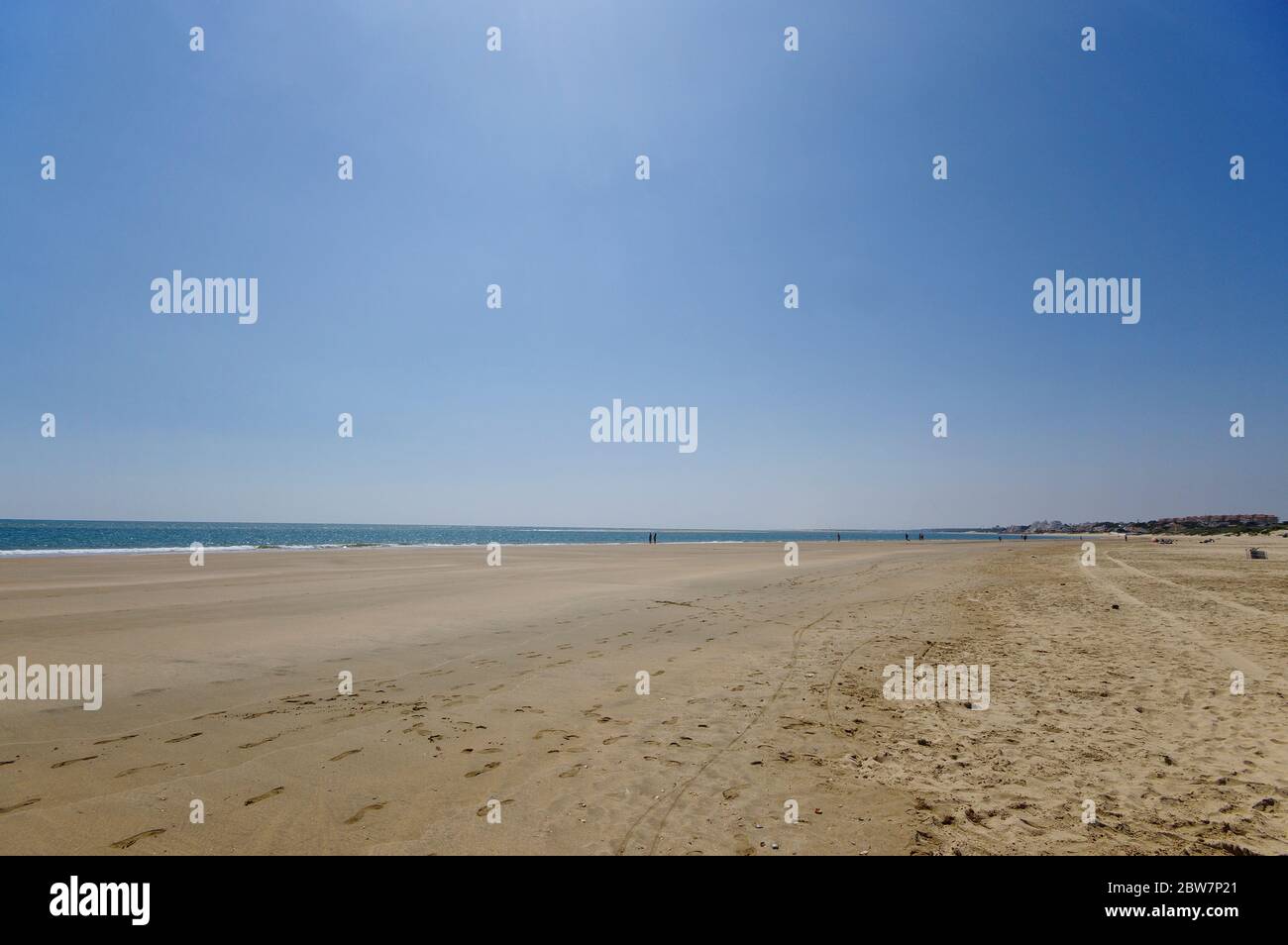 The sandy landscape of Marismas del Odiel National Park in Andalusia ...