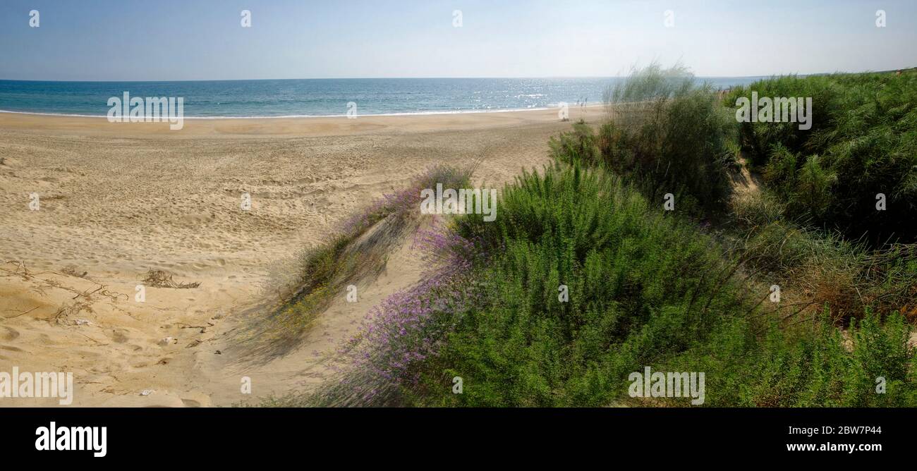 The sandy landscape of Marismas del Odiel National Park in Andalusia ...