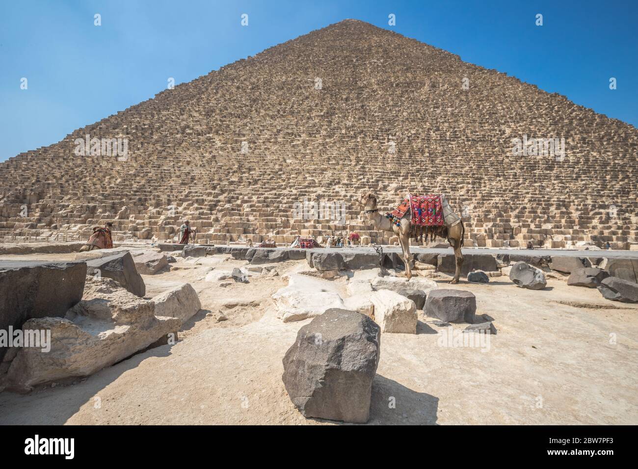Donkey pyramid giza egypt hi-res stock photography and images - Alamy