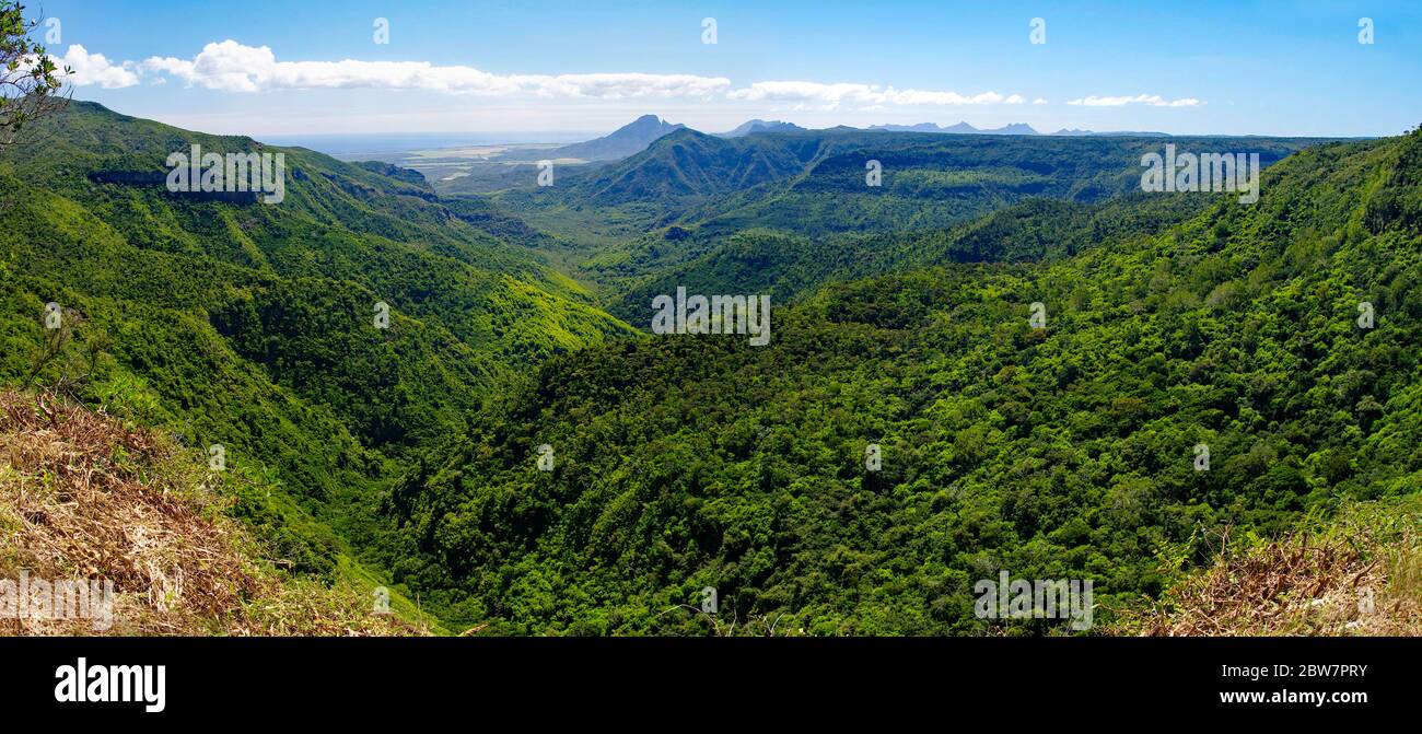Panoramic view of Black River Gorges National Park, Gorges Viewpoint in ...