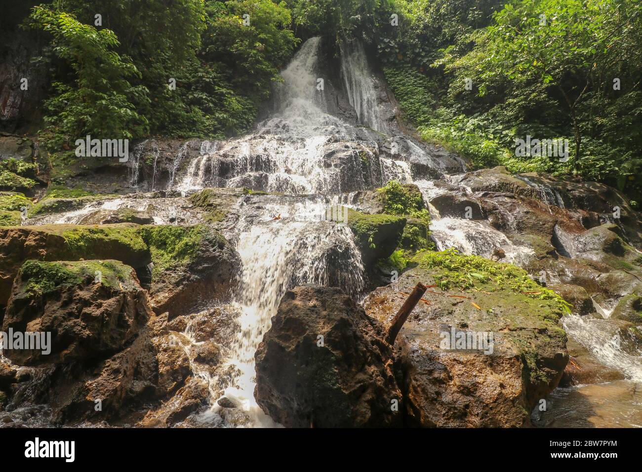 Scenic cascade Goa Giri Campuhan waterfall in tropical jungle in Stock ...