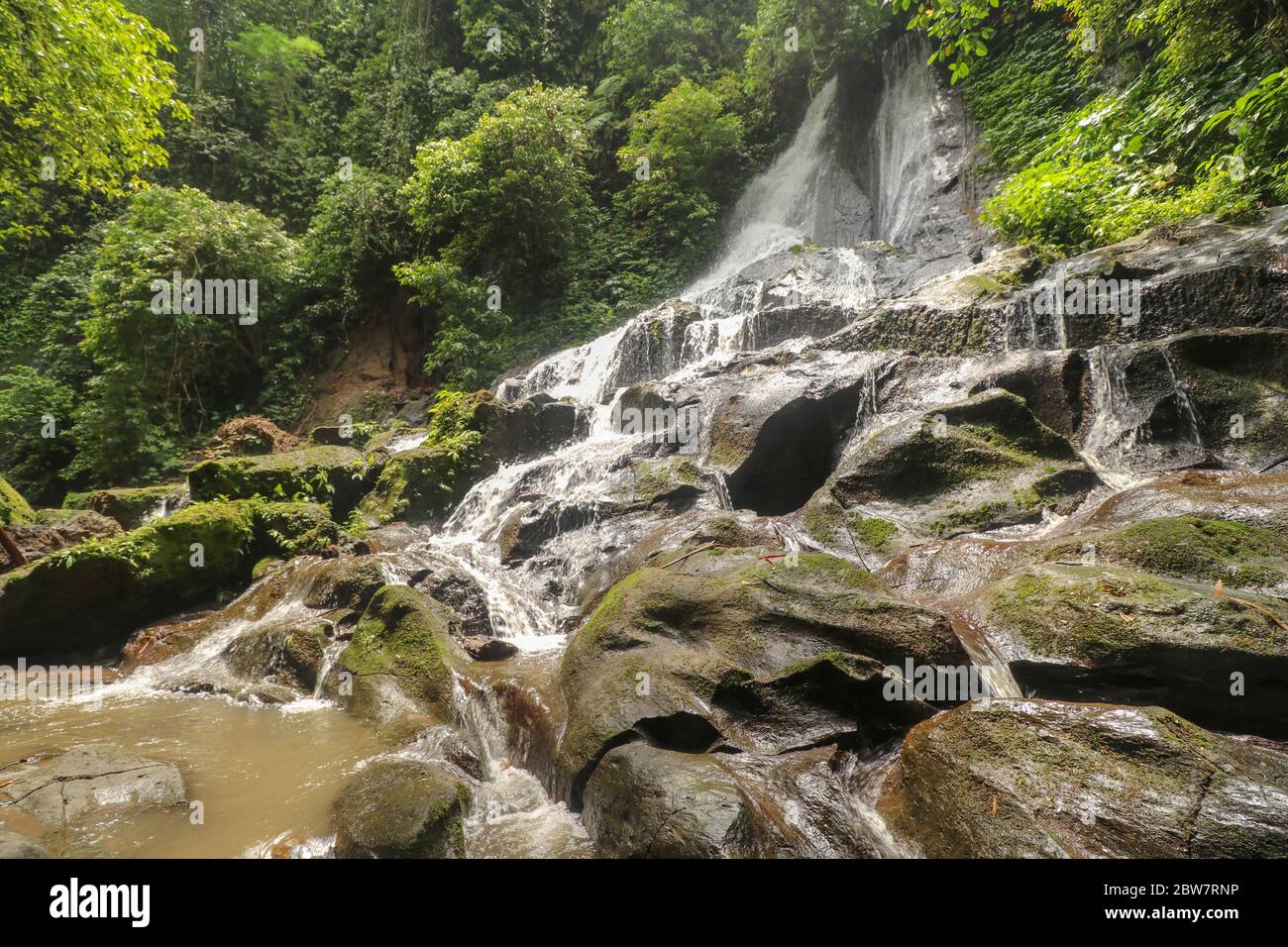 Scenic cascade Goa Giri Campuhan waterfall in tropical jungle in Stock ...
