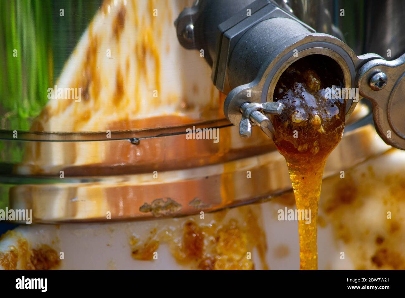 raw honey flowing through the gate filter of a honey extractor Stock ...