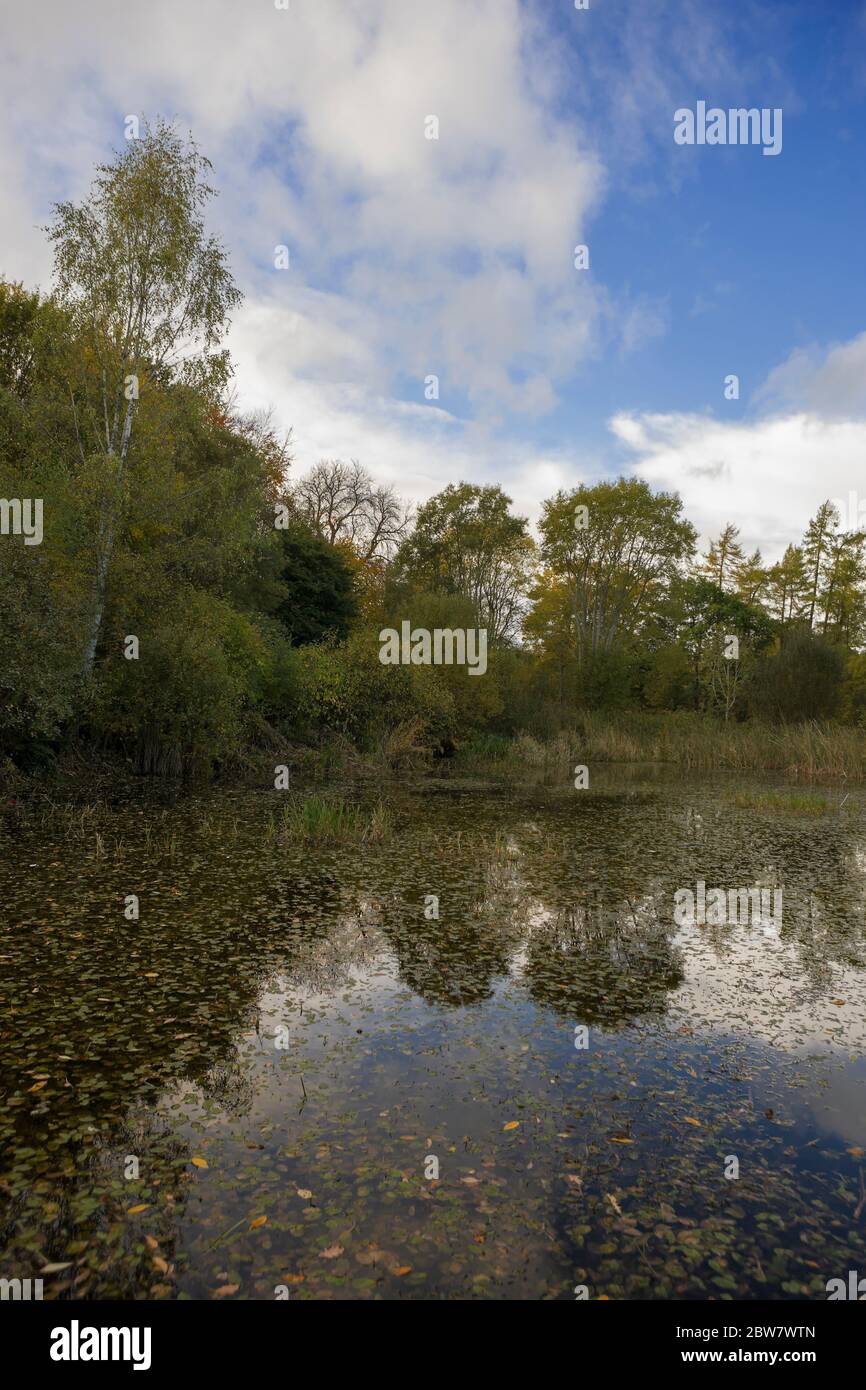 Lake in Vogrie Country Park, Midlothian, Scotland Stock Photo - Alamy