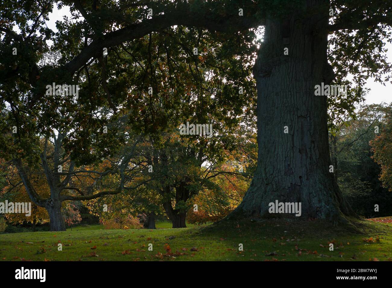 Gorebridge midlothian hi-res stock photography and images - Alamy