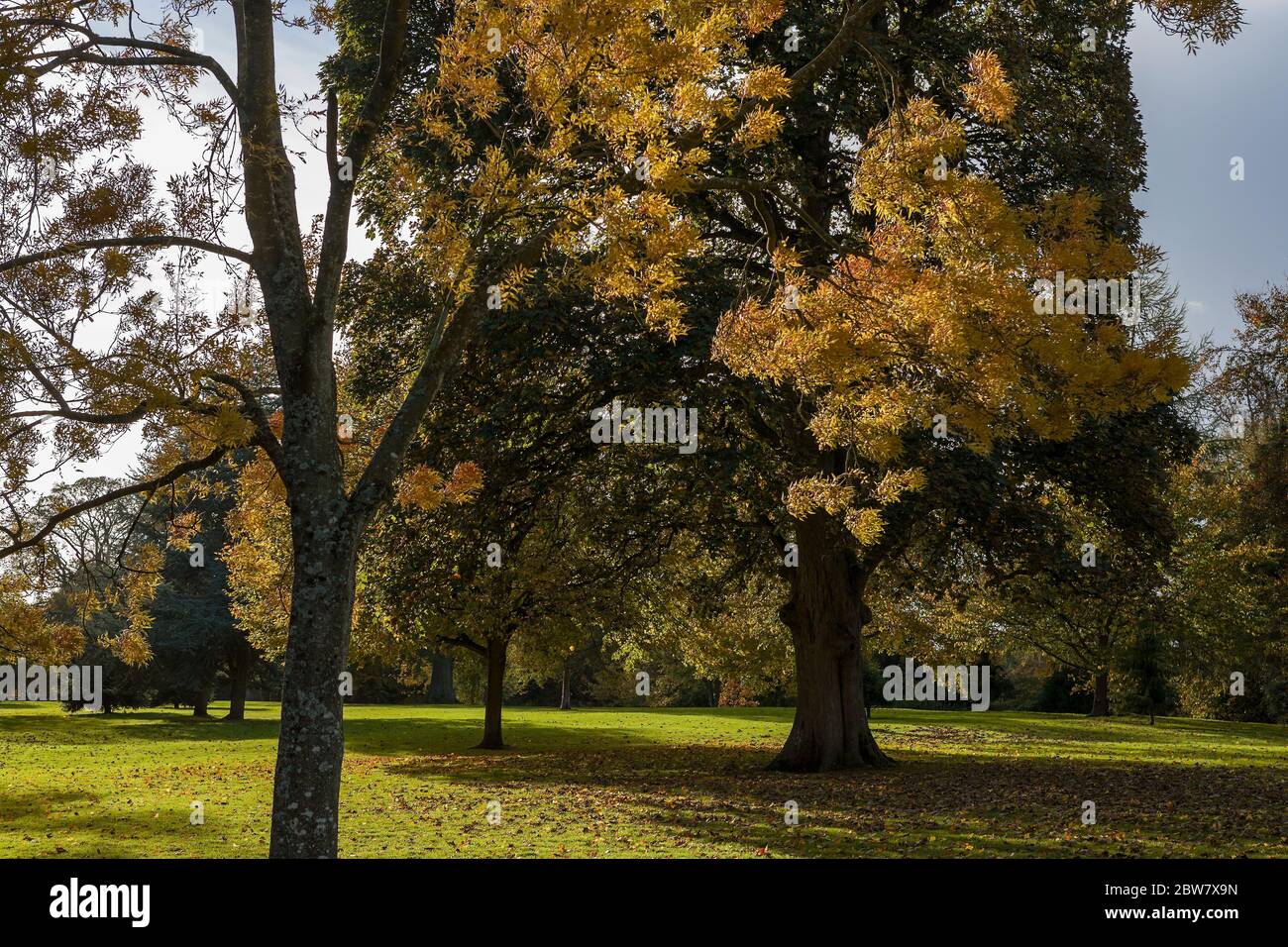 Vogrie country park hi-res stock photography and images - Alamy