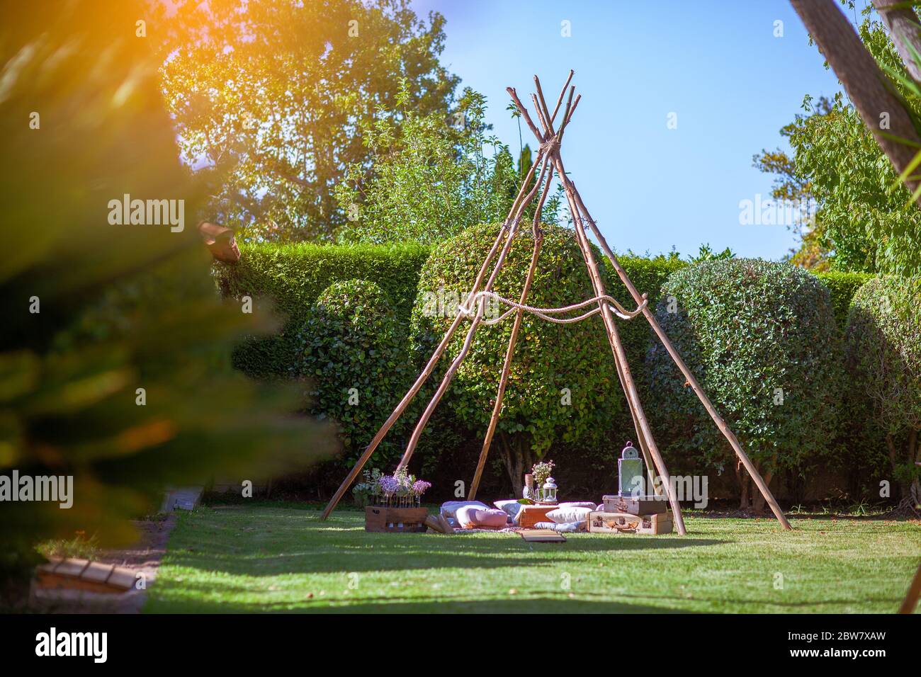 Nest made of sticks hi-res stock photography and images - Alamy