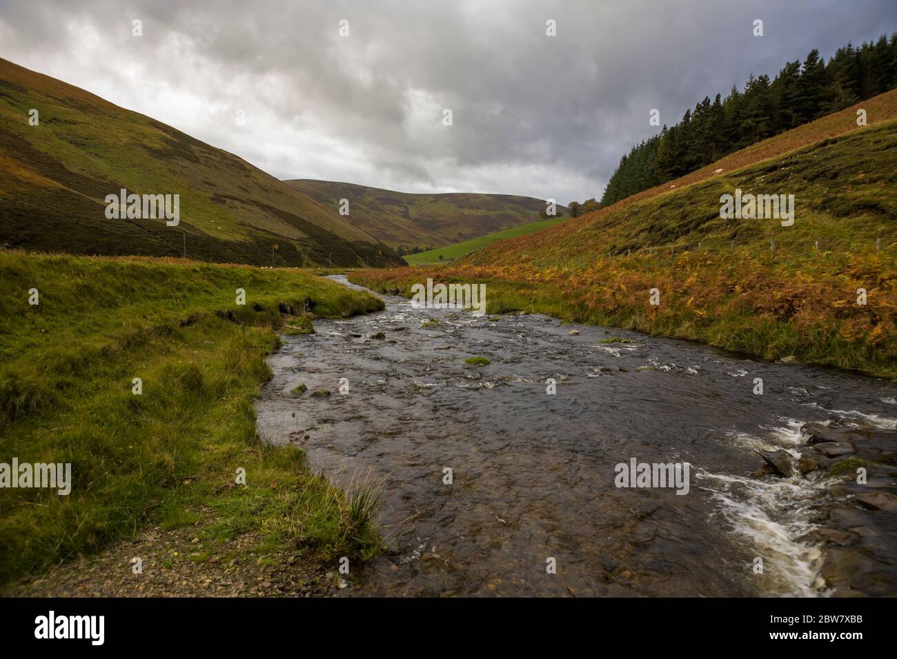 Innerleithen hi-res stock photography and images - Alamy