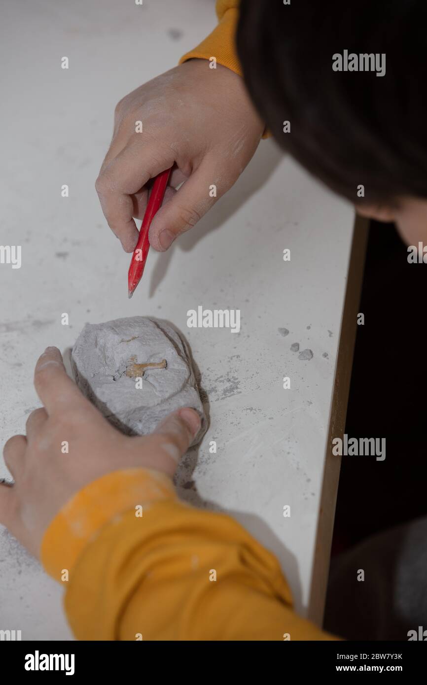 image of an educational game to find fossils for a small archaeologist ...