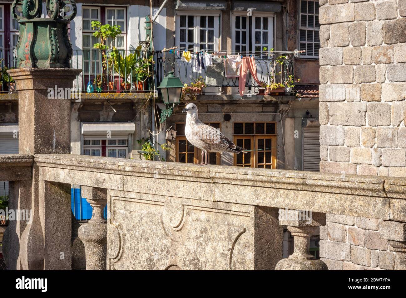 An old historic district Ribeira of Porto, Portugal Stock Photo - Alamy