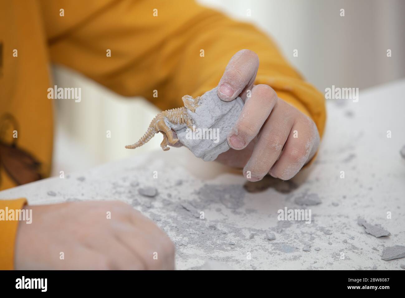 Archaeologist dig hi-res stock photography and images - Alamy