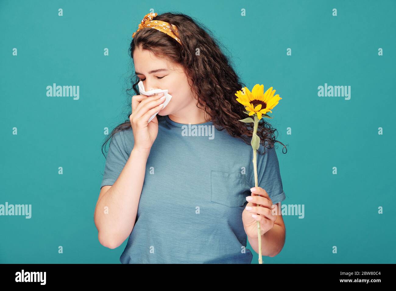 Sunflower tissue hi-res stock photography and images - Alamy