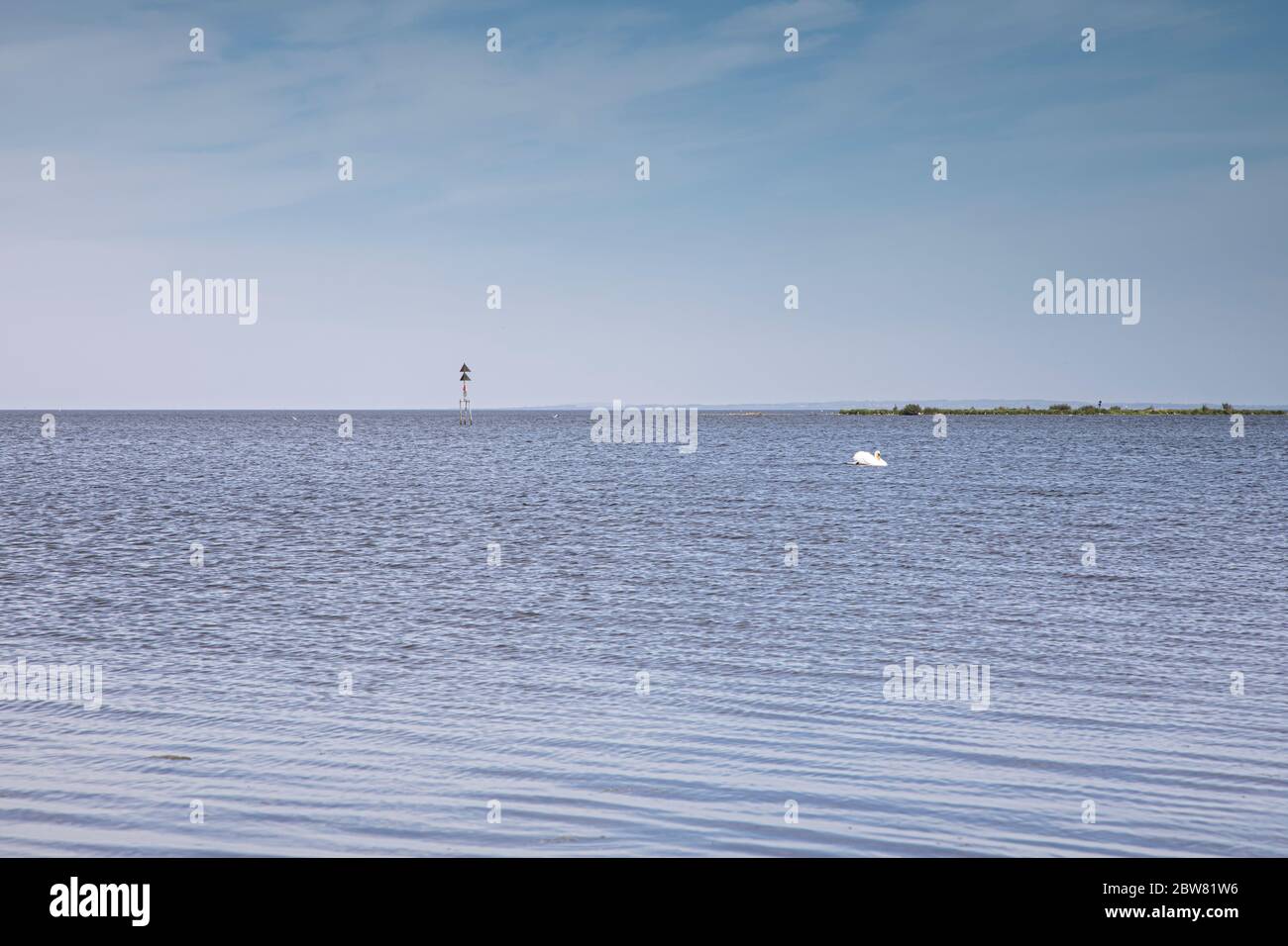 Largest freshwater bird hi-res stock photography and images - Alamy