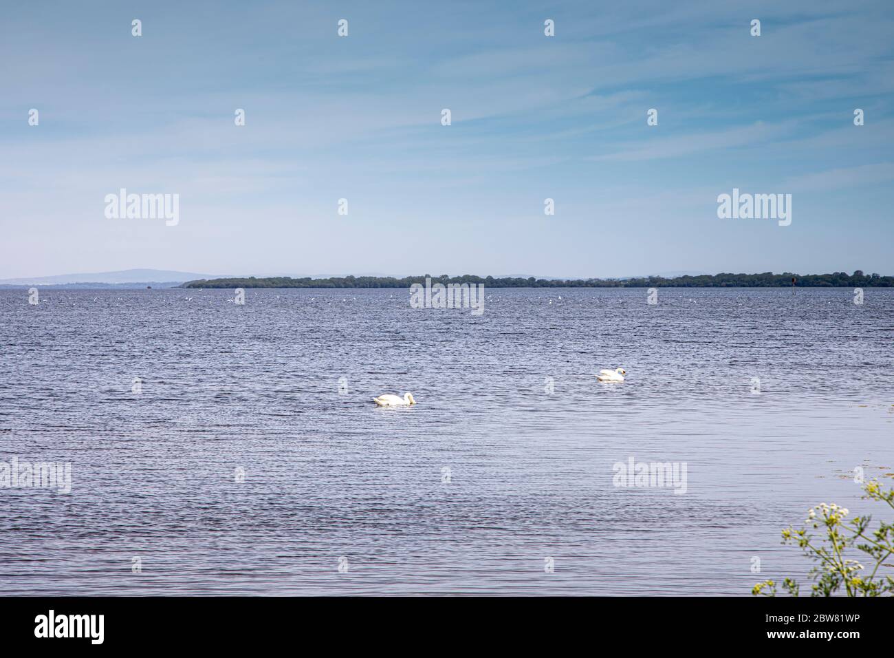 Weather at oxford island lough neagh hi-res stock photography and ...