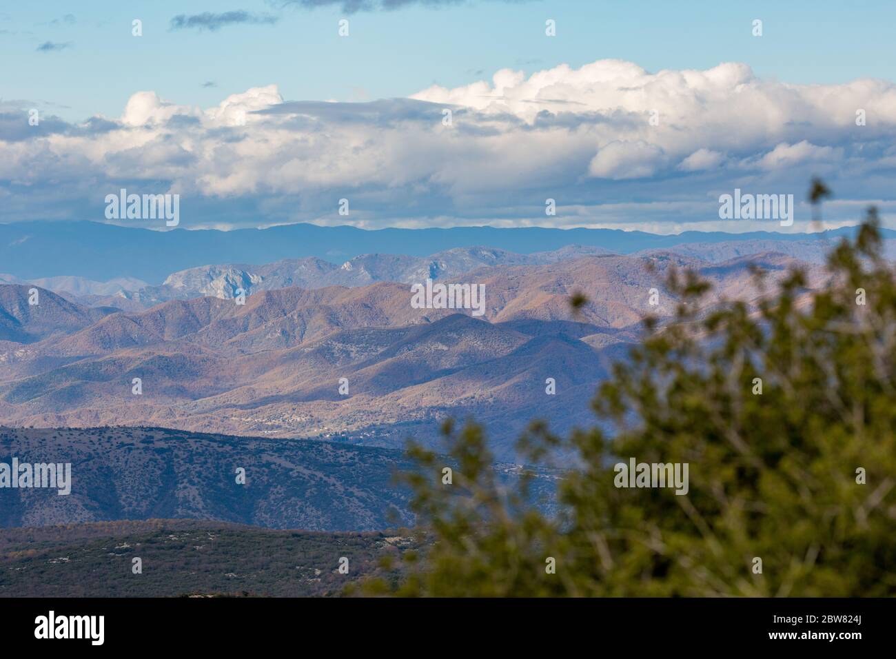 Naturalistic colors hi-res stock photography and images - Alamy