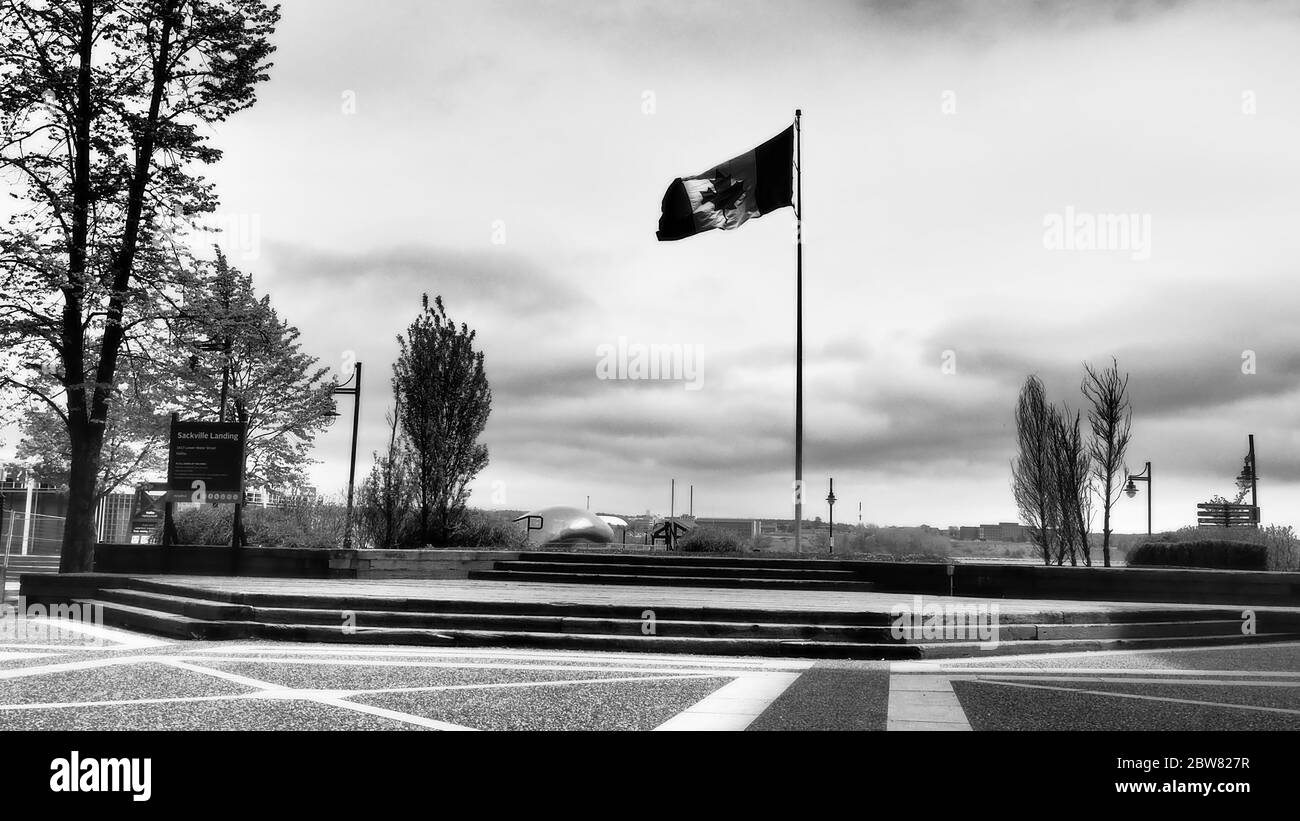 Day 80 Of The Apocalypse in Halifax Nova Scotia Canada. The streets of ...