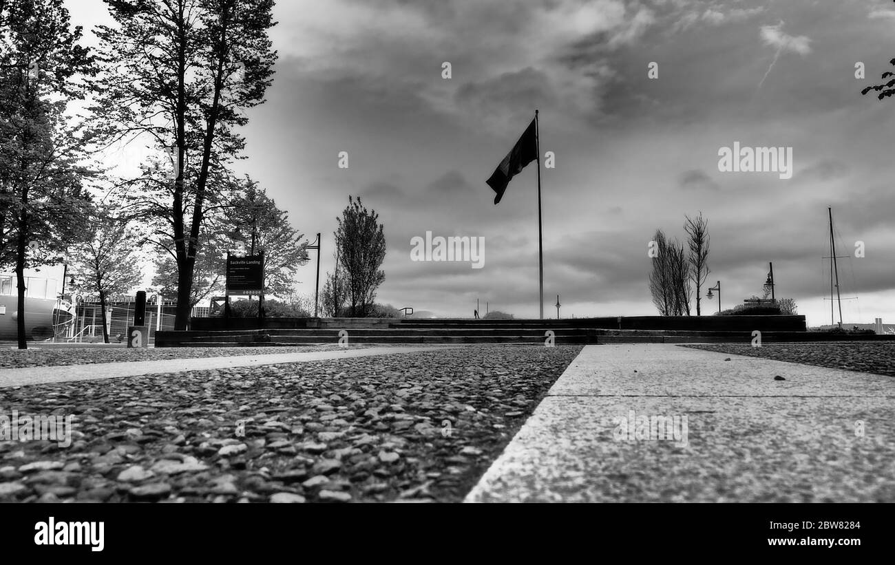 Day 80 Of The Apocalypse in Halifax Nova Scotia Canada. The streets of ...