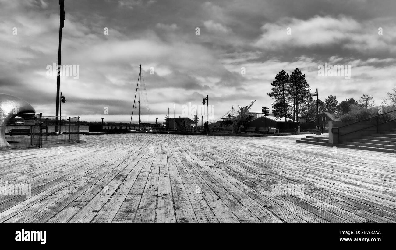 Day 80 Of The Apocalypse in Halifax Nova Scotia Canada. The streets of ...