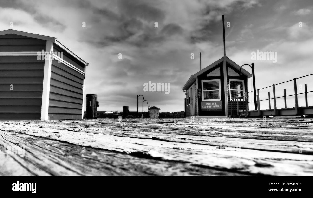 Day 80 Of The Apocalypse in Halifax Nova Scotia Canada. The streets of ...