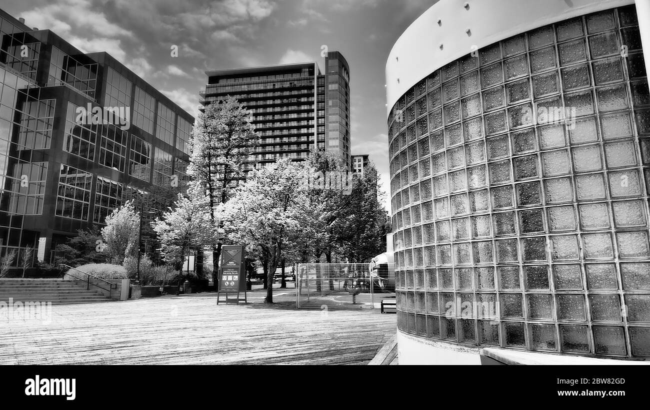 Day 80 Of The Apocalypse in Halifax Nova Scotia Canada. The streets of ...