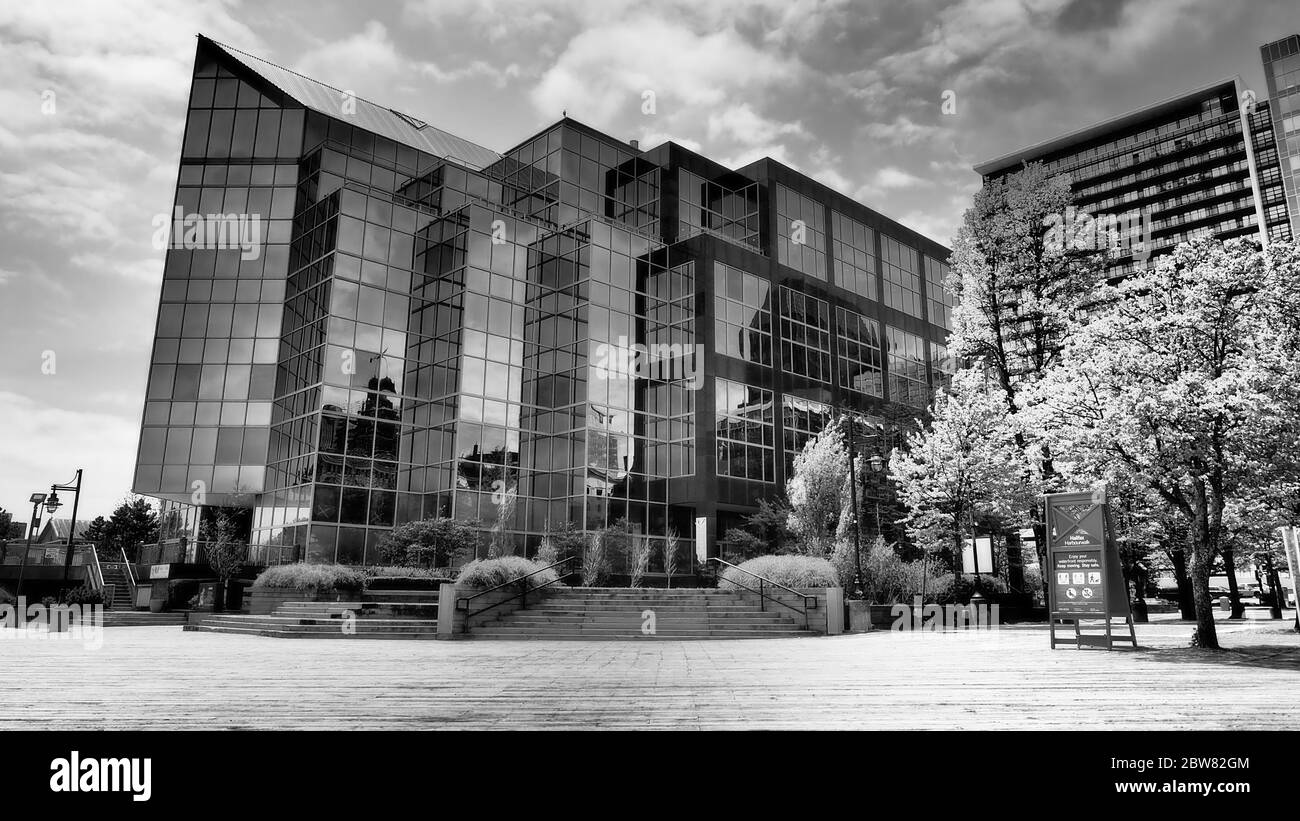 Day 80 Of The Apocalypse in Halifax Nova Scotia Canada. The streets of ...