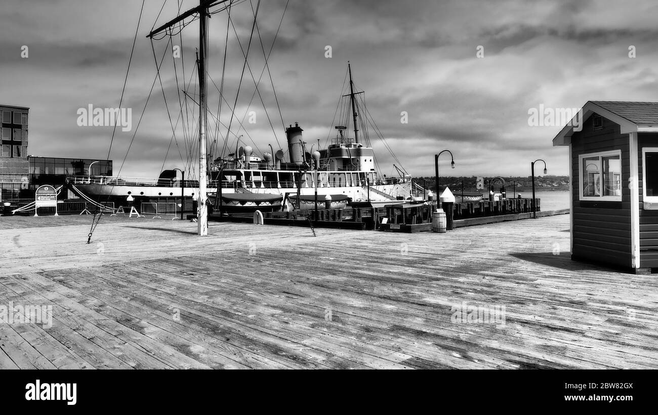 Day 80 Of The Apocalypse in Halifax Nova Scotia Canada. The streets of ...