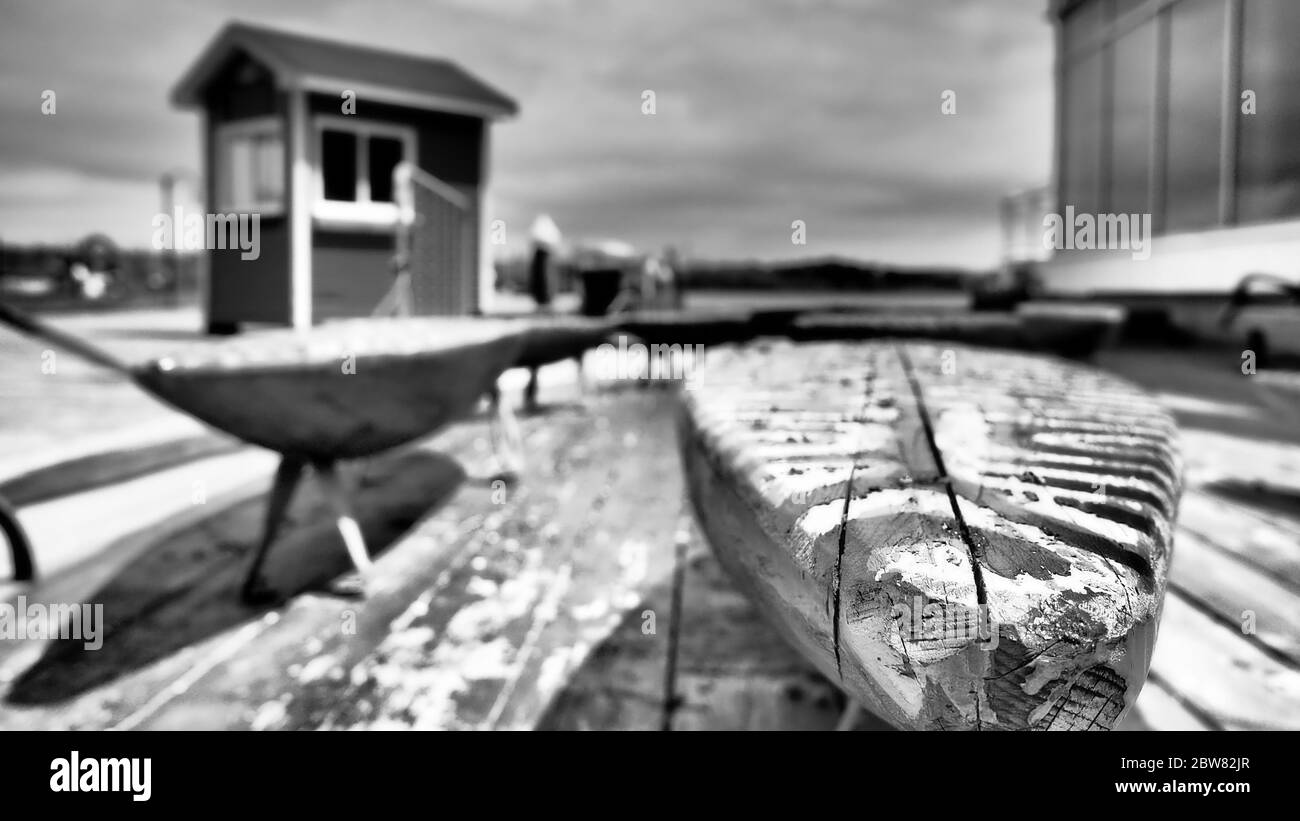 Day 80 Of The Apocalypse in Halifax Nova Scotia Canada. The streets of ...