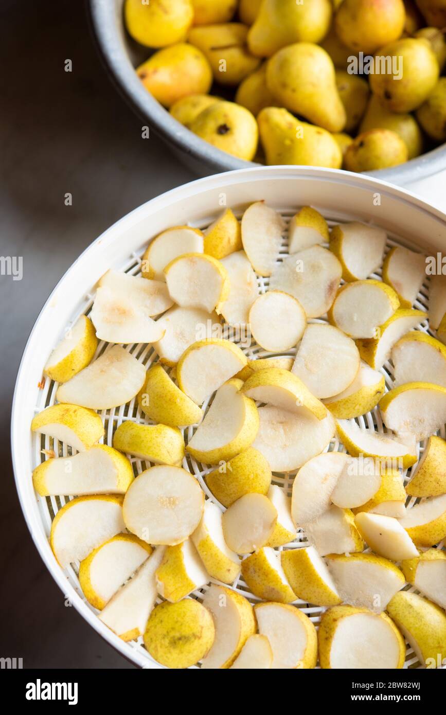 Homemade drying dehydration process of pears in slices Stock Photo - Alamy